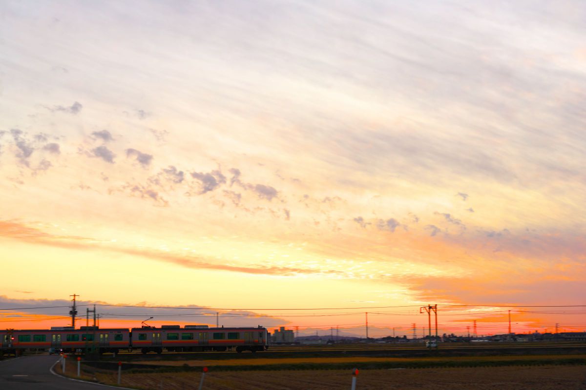 returns。② | GANREF