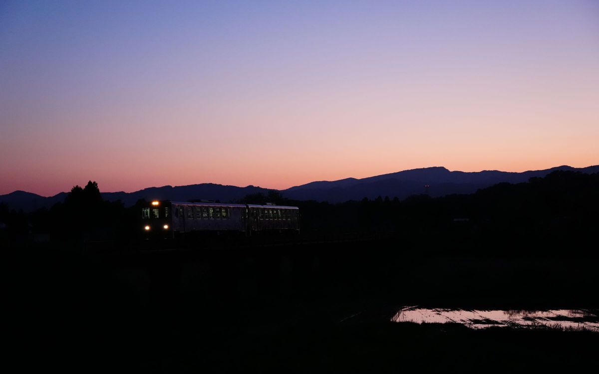 52 Weeks Project 。 | GANREF