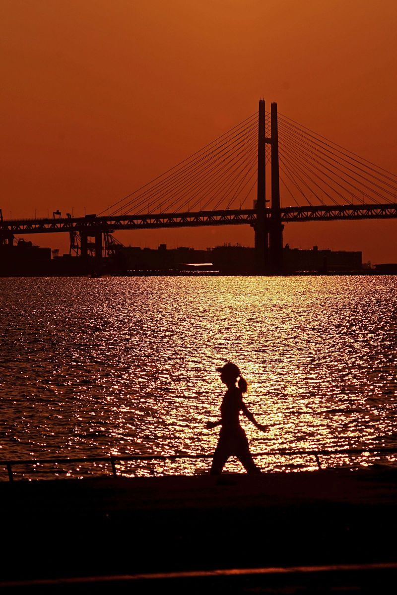 Daily work. | GANREF