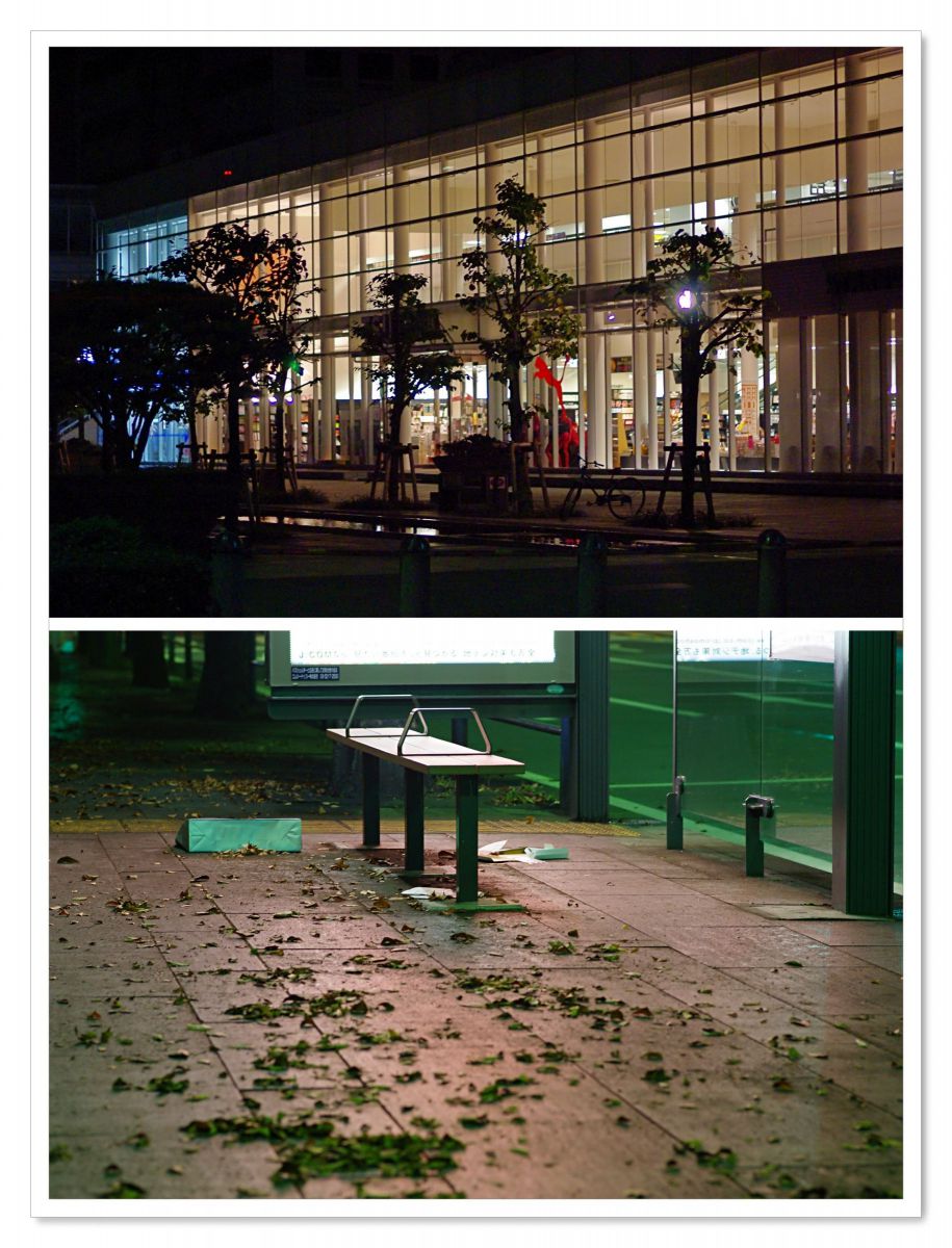 臨港パークの夜明け Vol.93 | GANREF