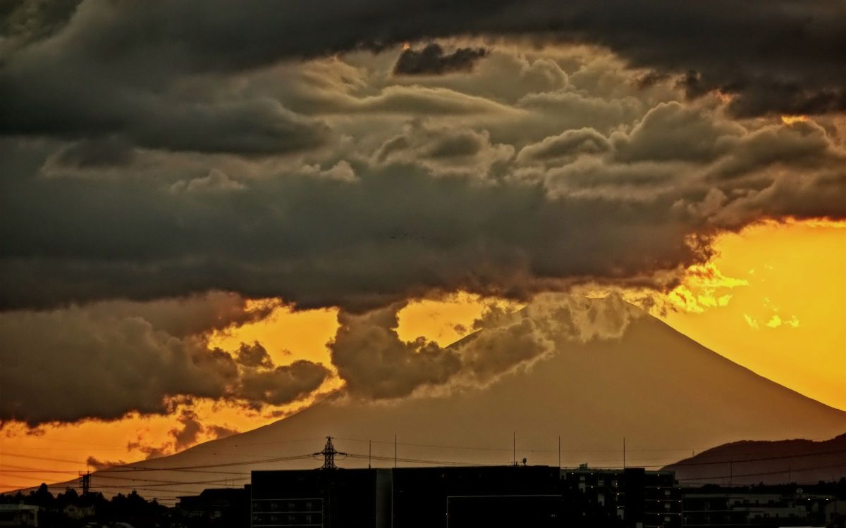 What happened？ | GANREF