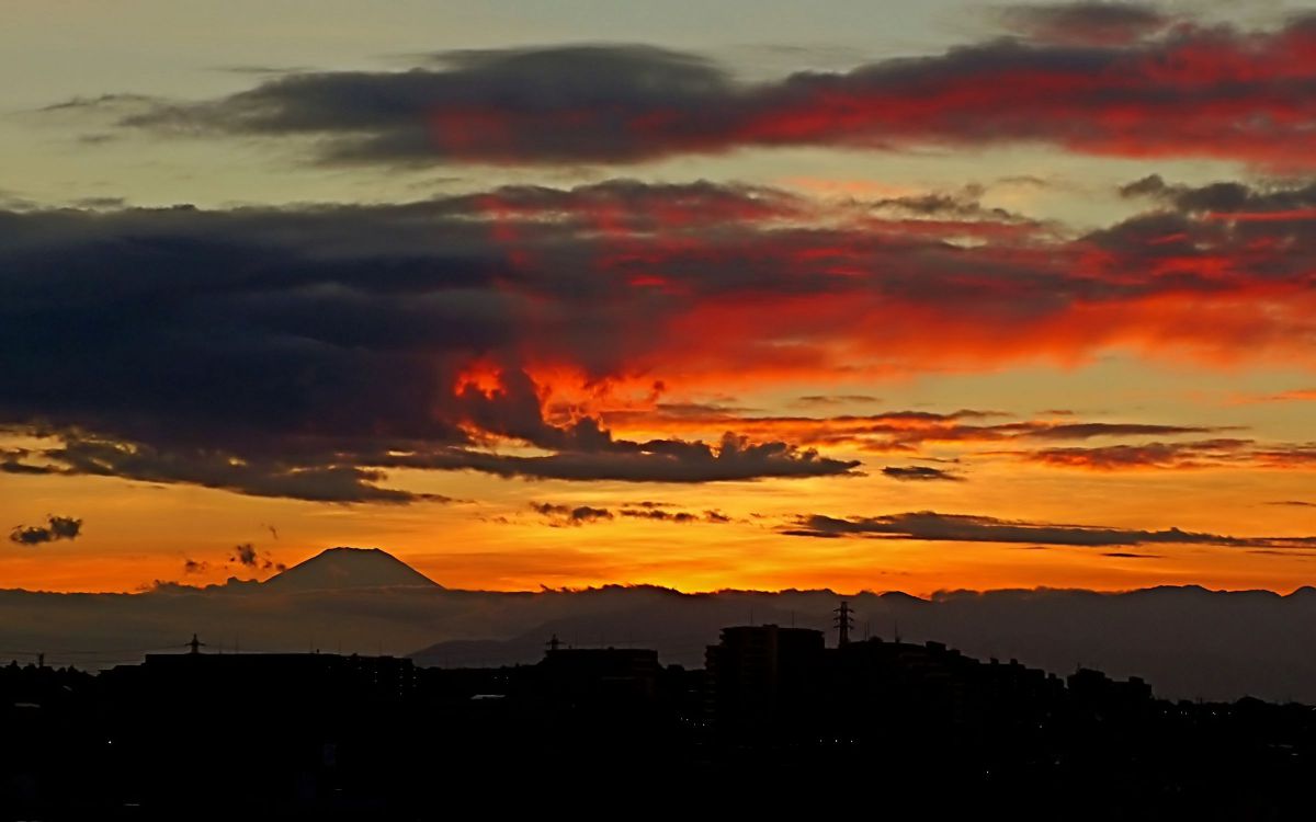 The Finale. | GANREF