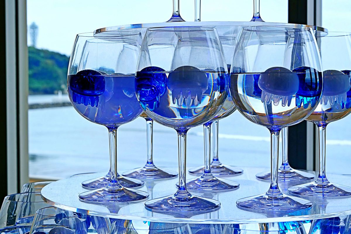 Welcome Drink. | GANREF