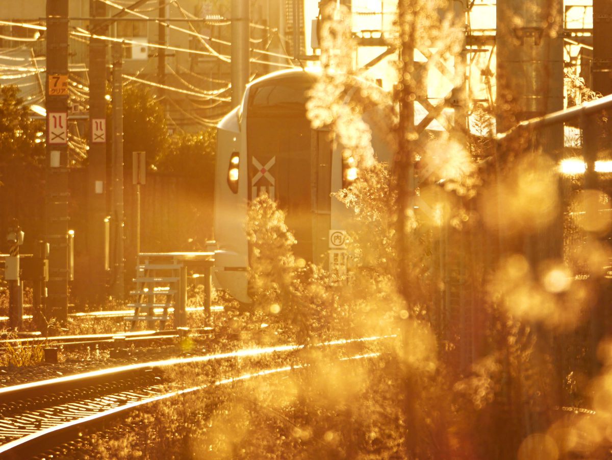 ぽーとれーと | GANREF