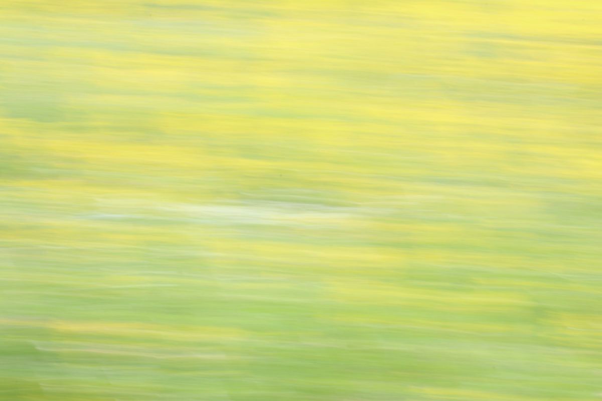 Spring breeze | GANREF