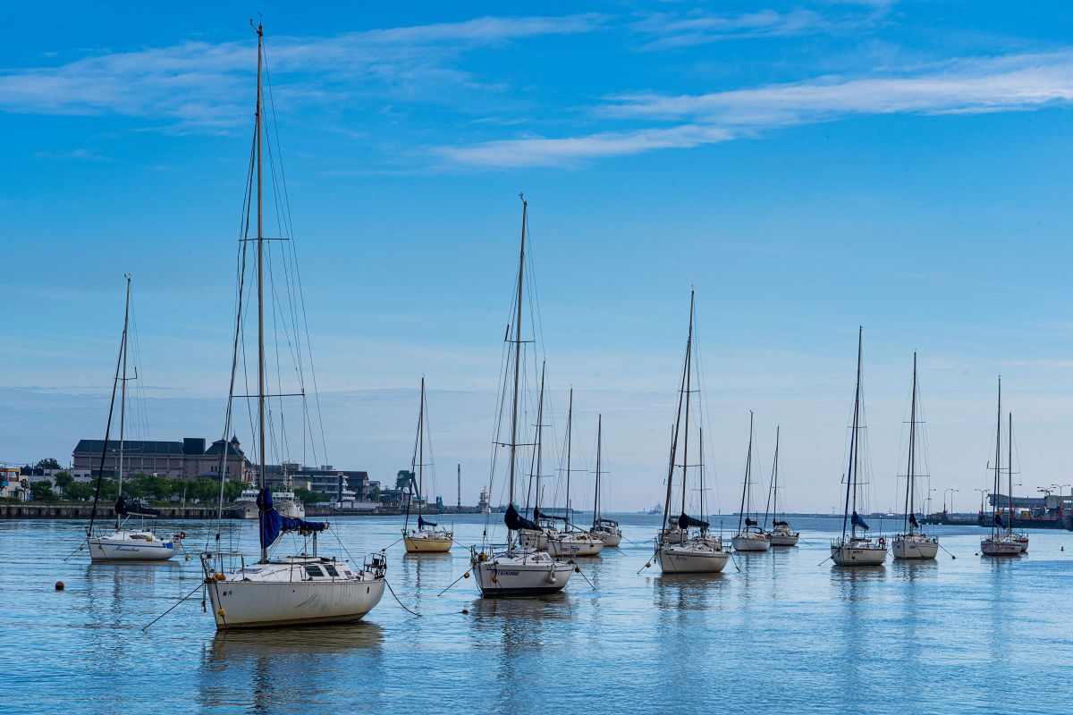 整列！！ | GANREF