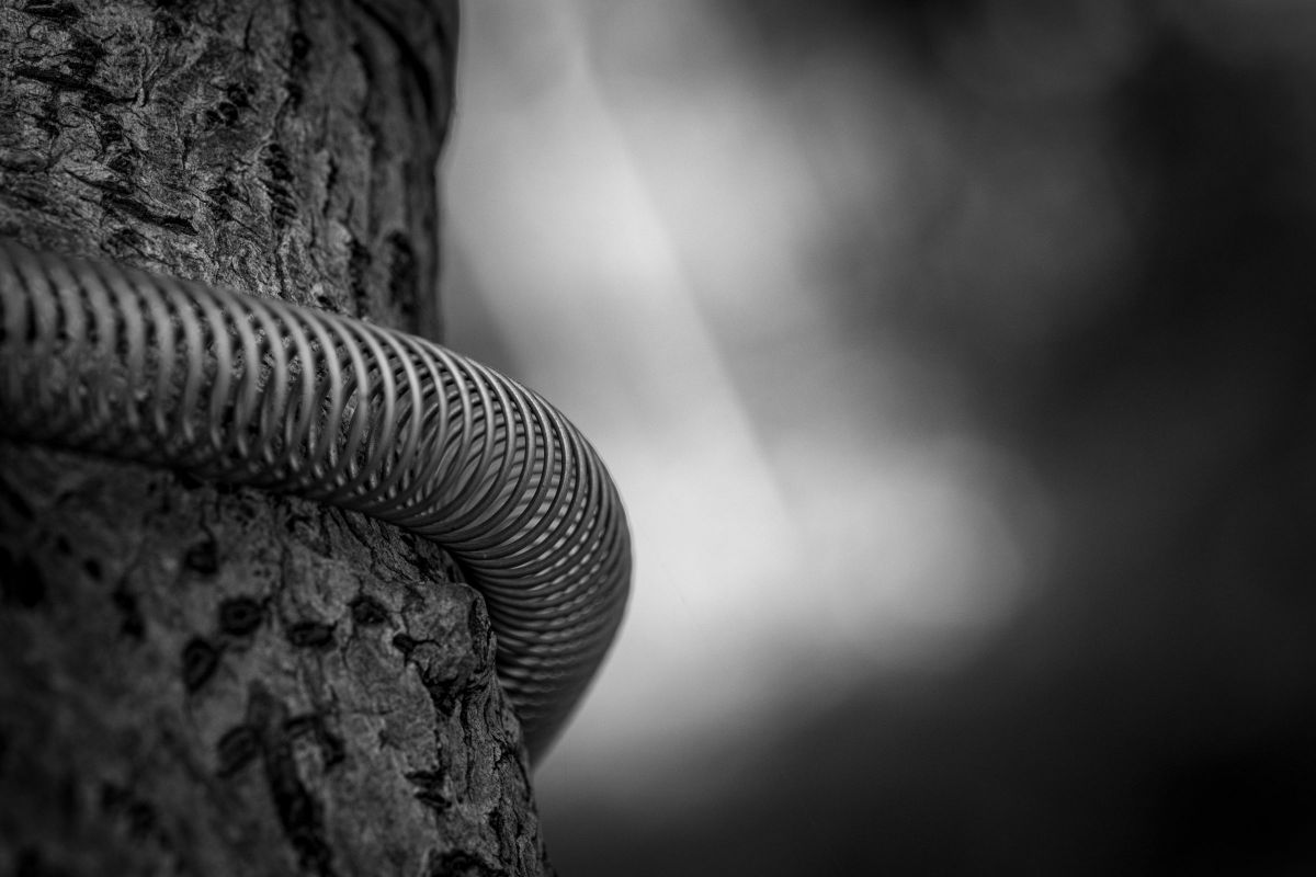 縛られる？ | GANREF