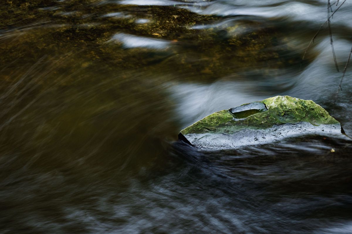 流されず | GANREF