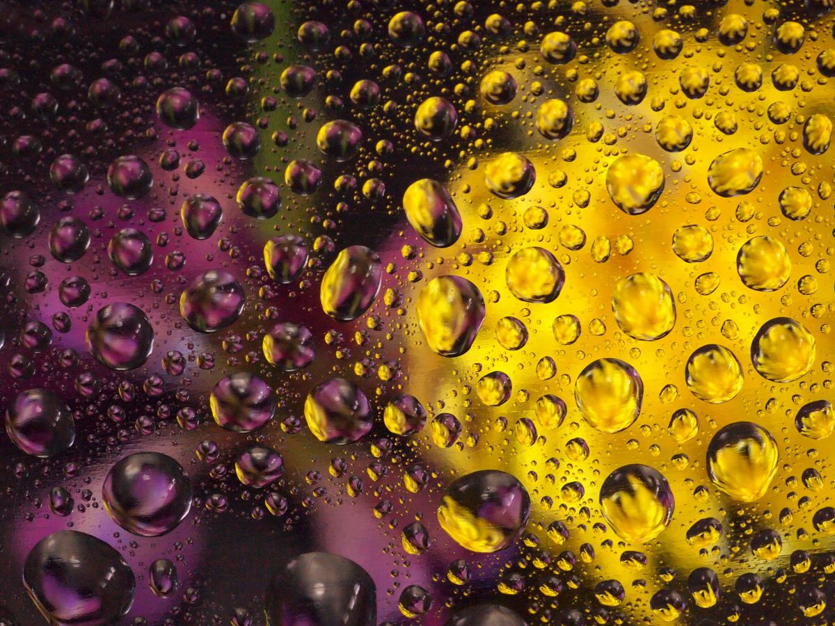 Waterdrops | GANREF