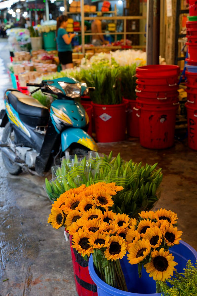 ちょっと一息。。 | GANREF