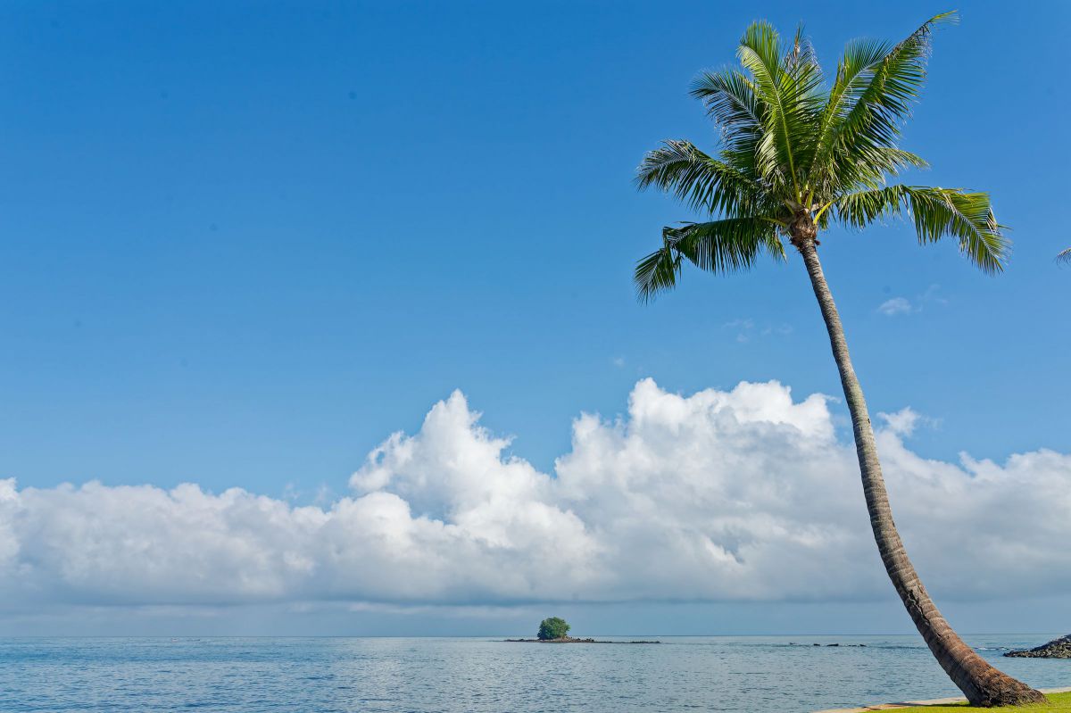 Sunny day!! | GANREF