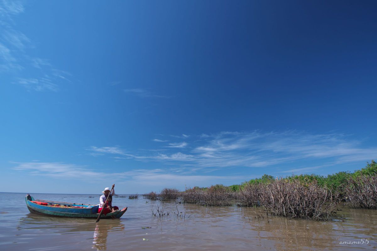 仕掛ける | GANREF