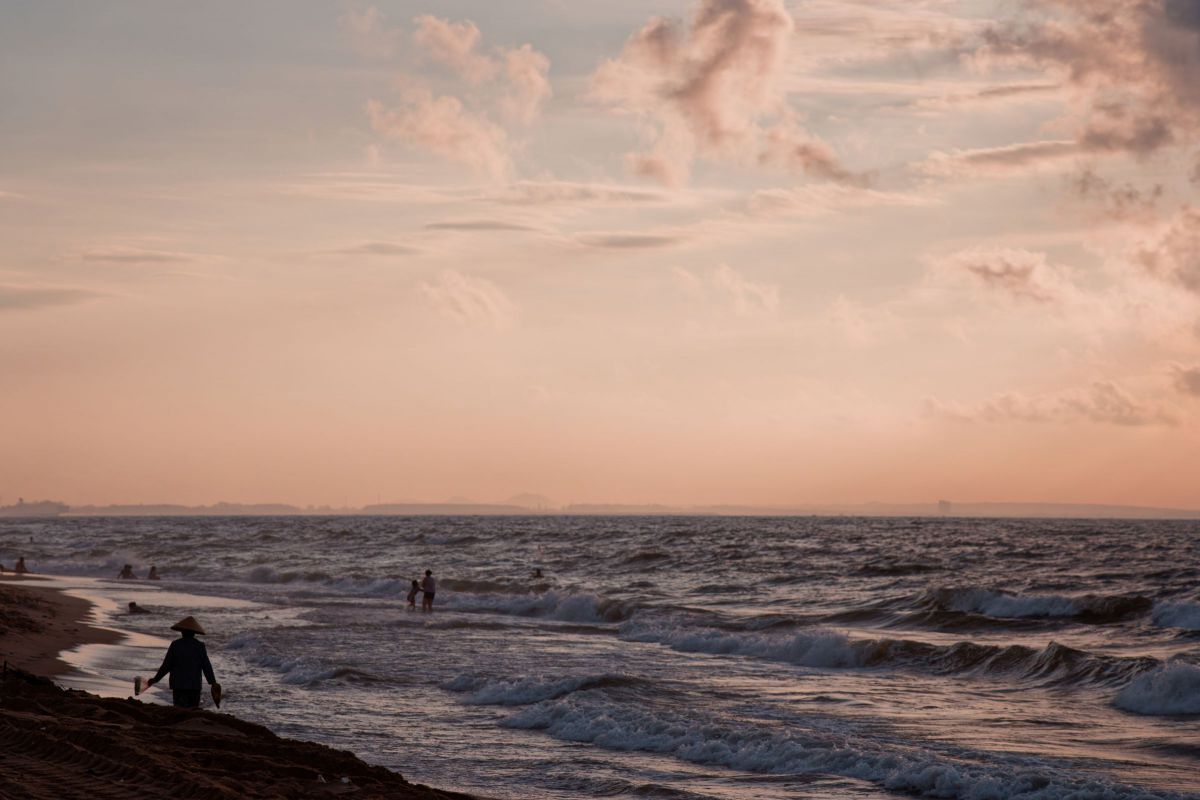 期待｡｡｡ | GANREF