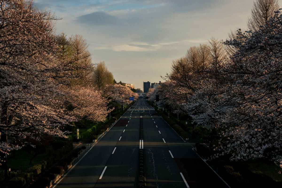 春の日2025 | GANREF