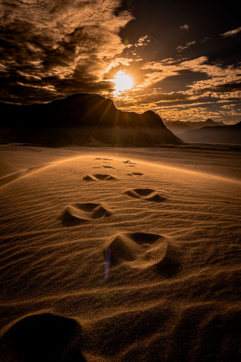 夕陽に向かって | GANREF