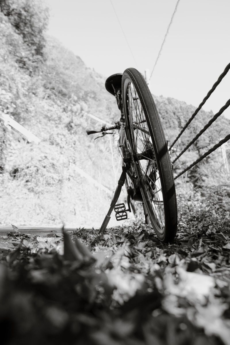 Spoke wheel | GANREF