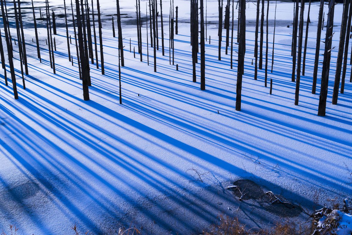 Blue line of rising sun | GANREF