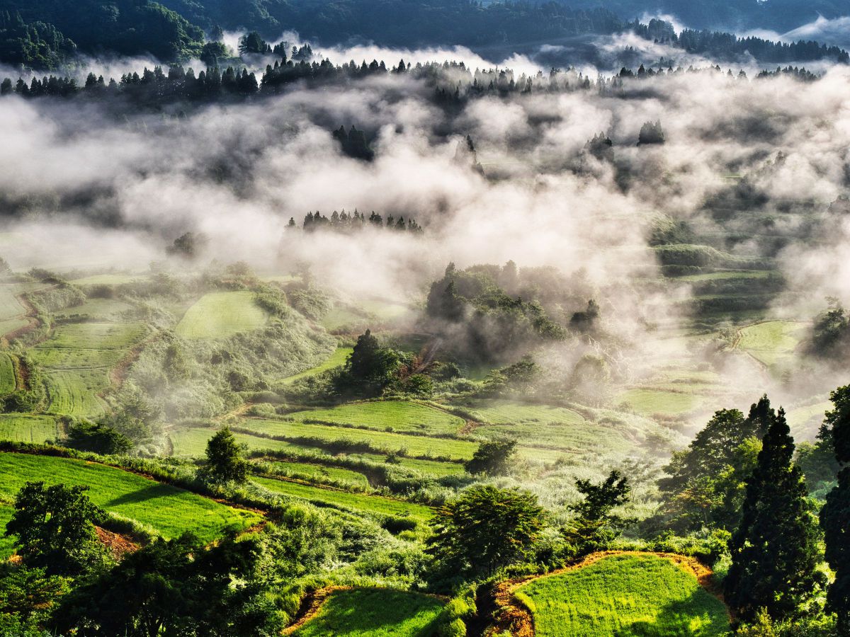 大地の躍動 | GANREF