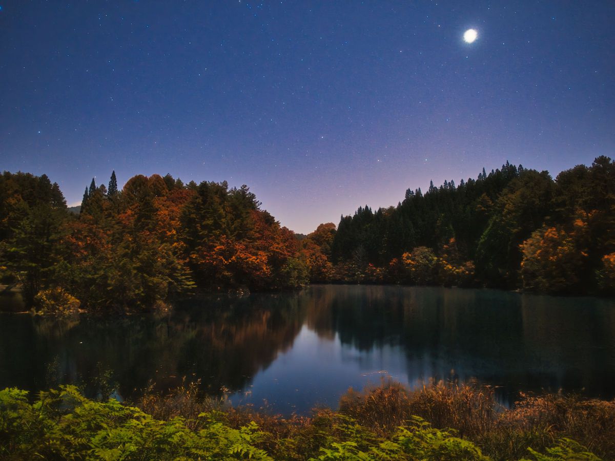 月明りに映える | GANREF