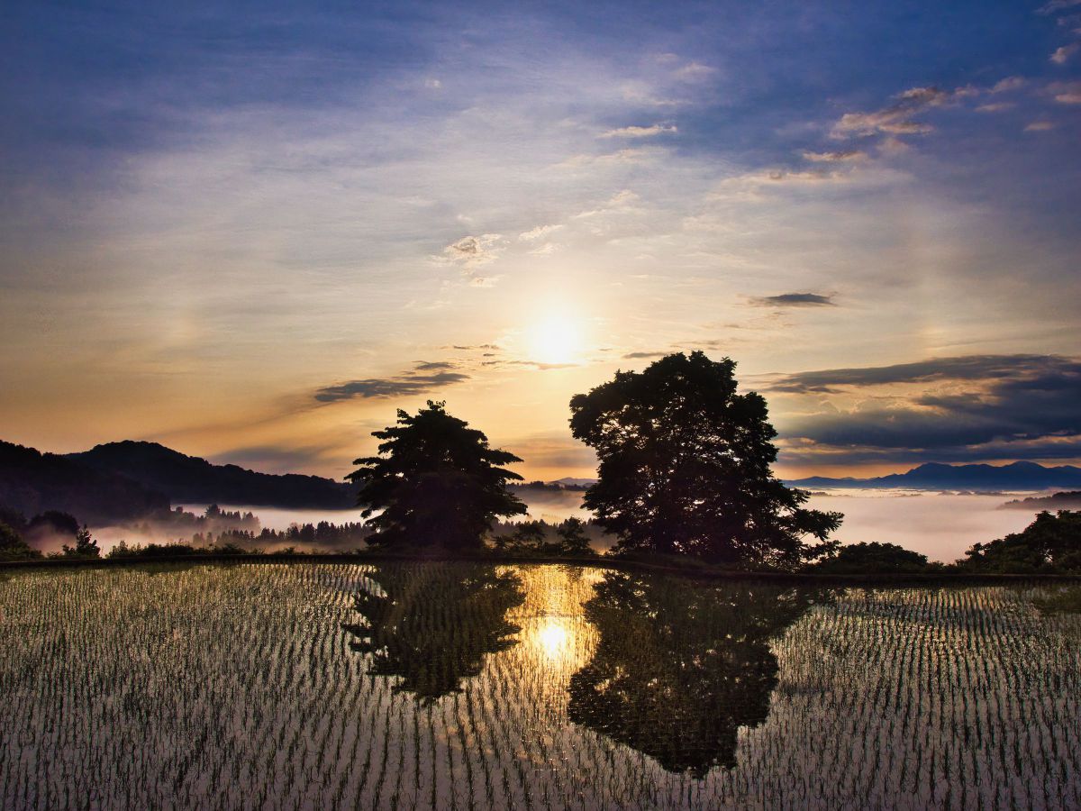 爽やかな一日の始まり | GANREF