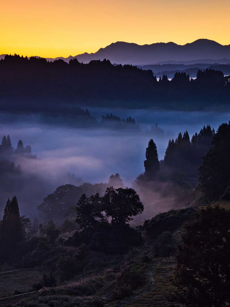 里山の夜明け | GANREF