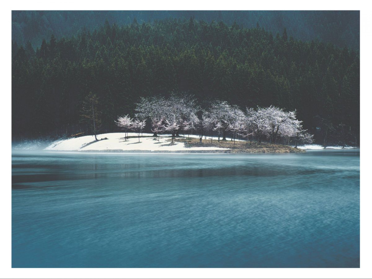 早春（作品展示のご案内） | GANREF