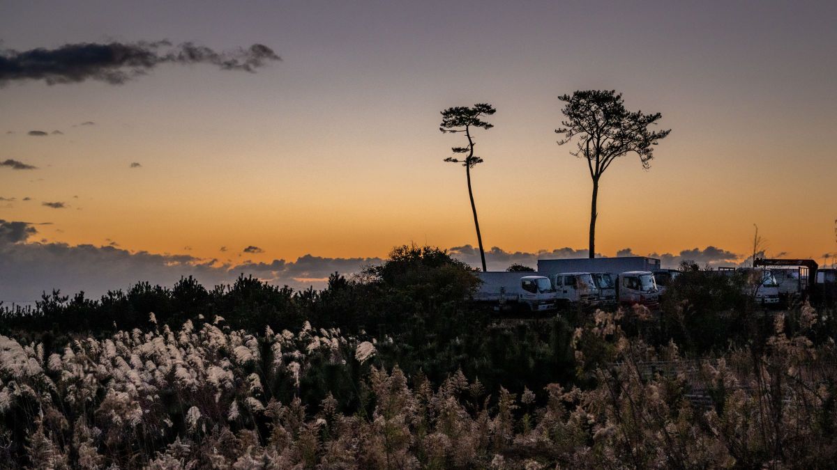 orange hour | GANREF