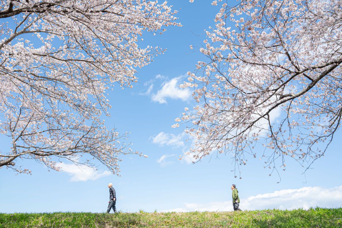 愛する人との春 | GANREF