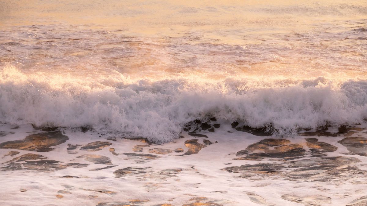 golden time | GANREF