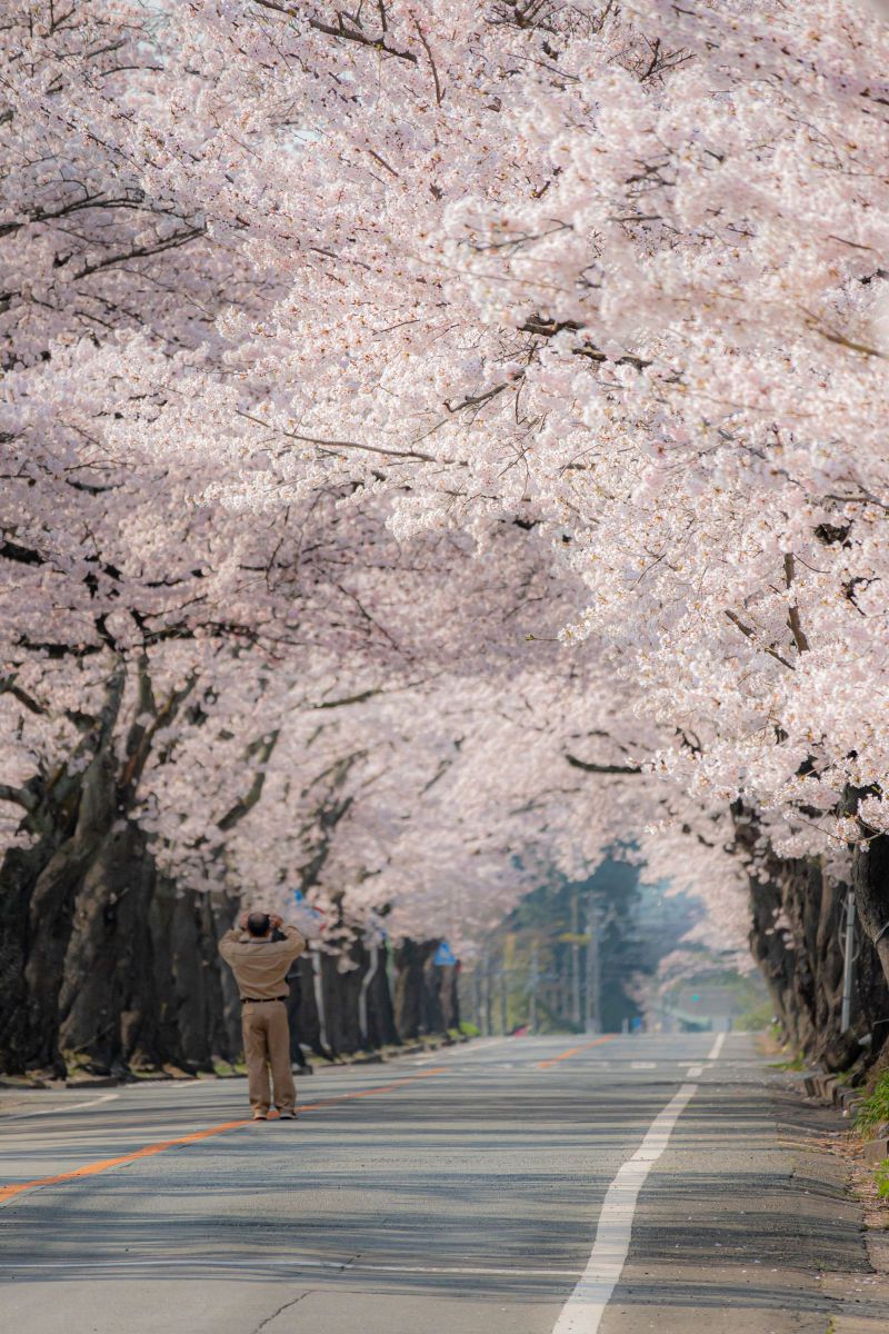 独り占め。 | GANREF