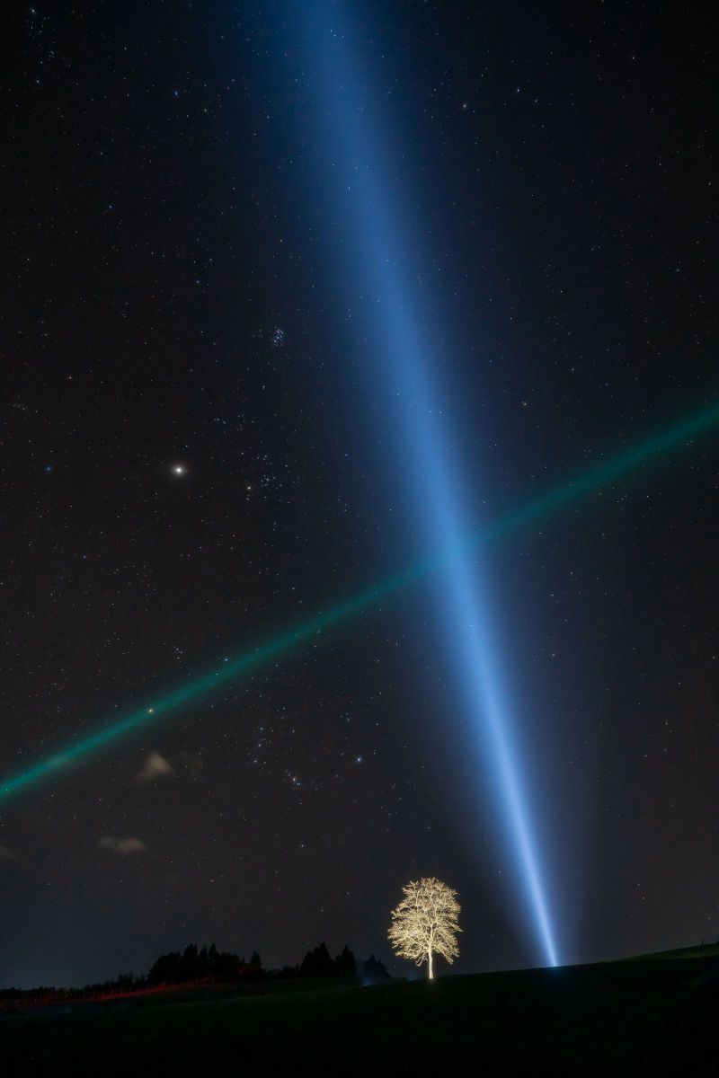 spirit tree | GANREF