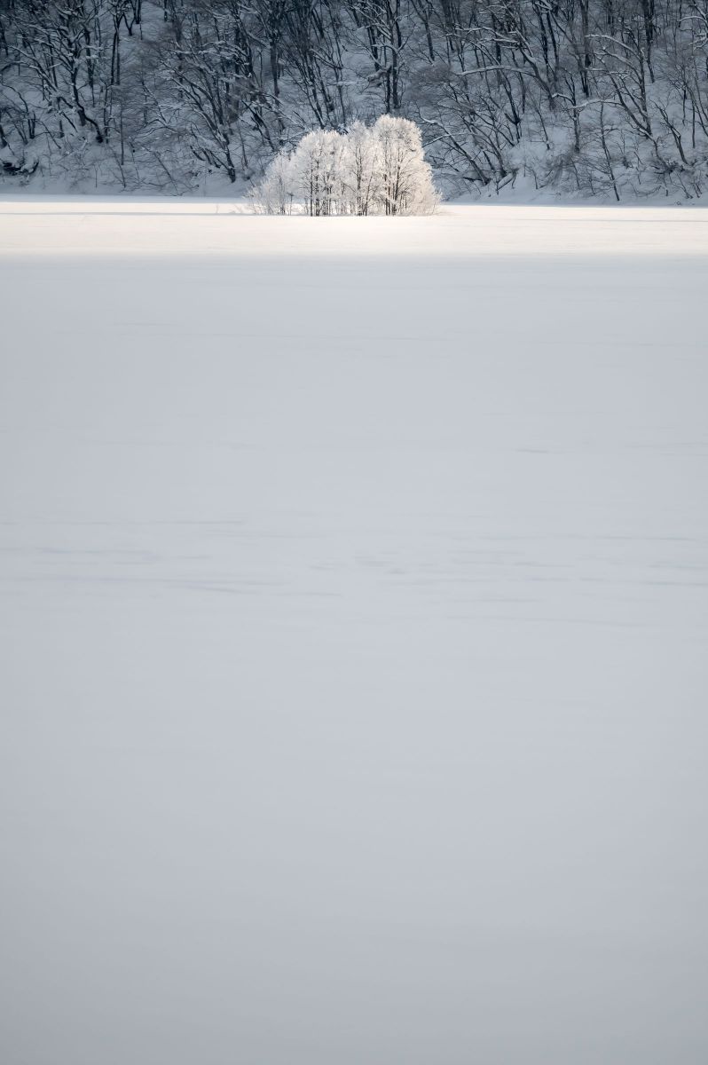 silent snow | GANREF