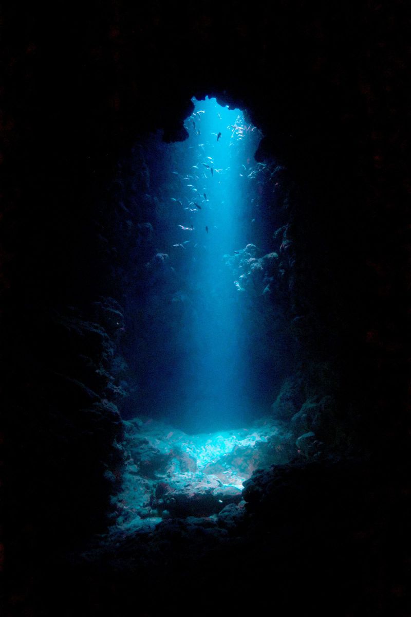 直下への光 | GANREF