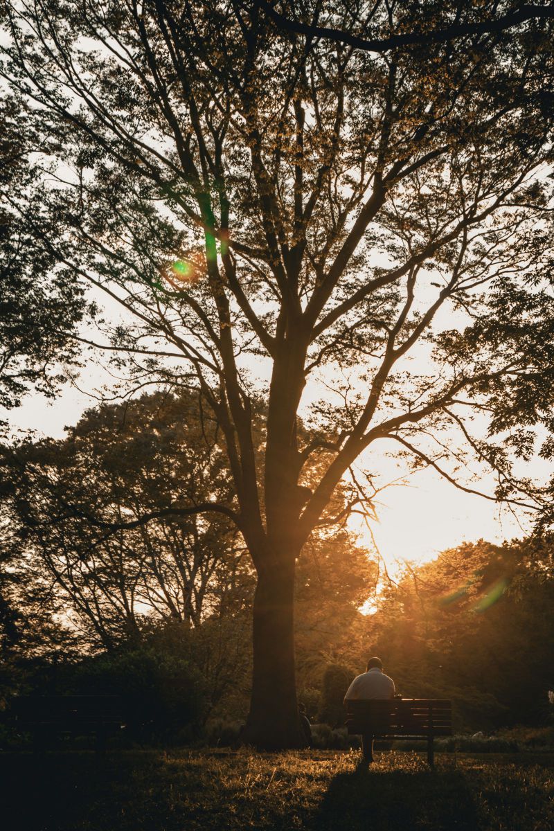 隣に貴方がいない今 | GANREF