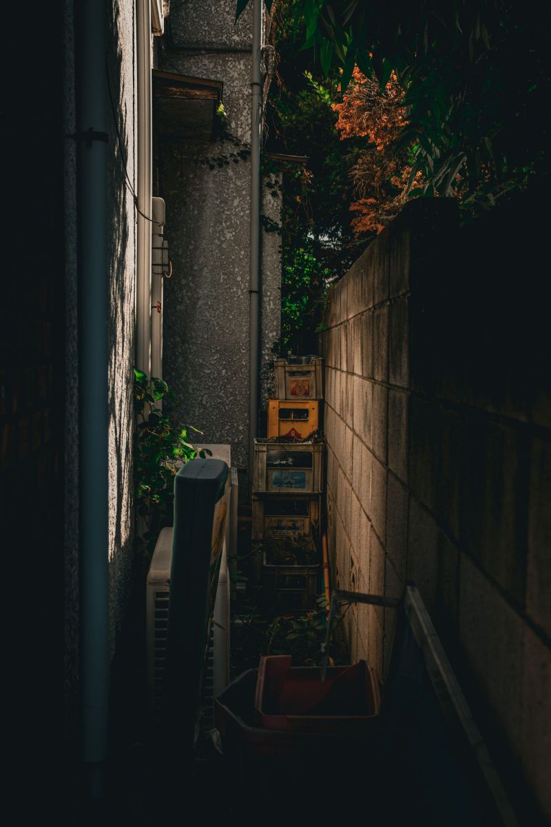 無精と芸術 | GANREF