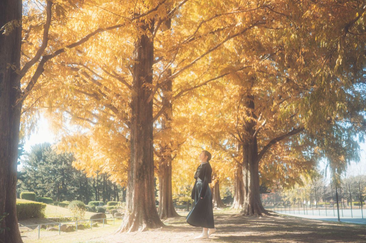 yellow days | GANREF