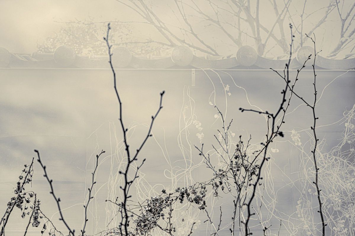 composite-2 | GANREF