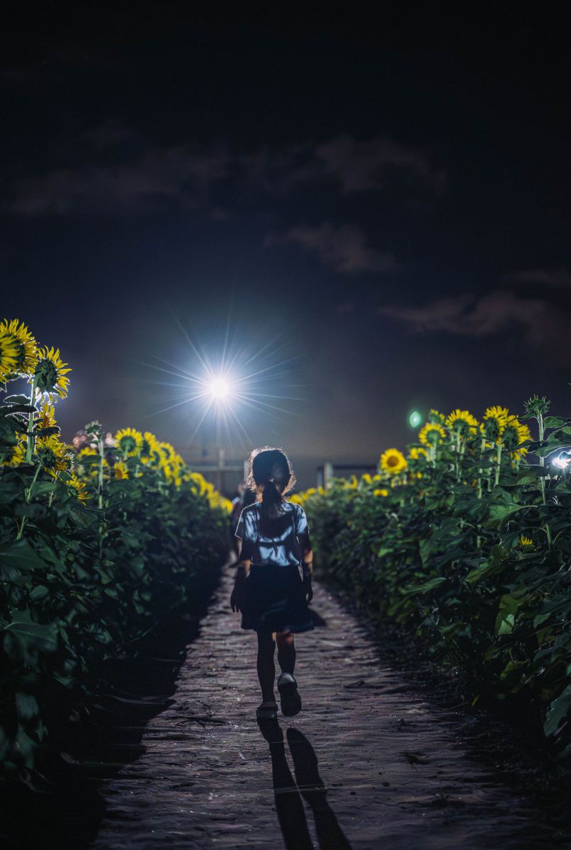 The Path I Walk. | GANREF