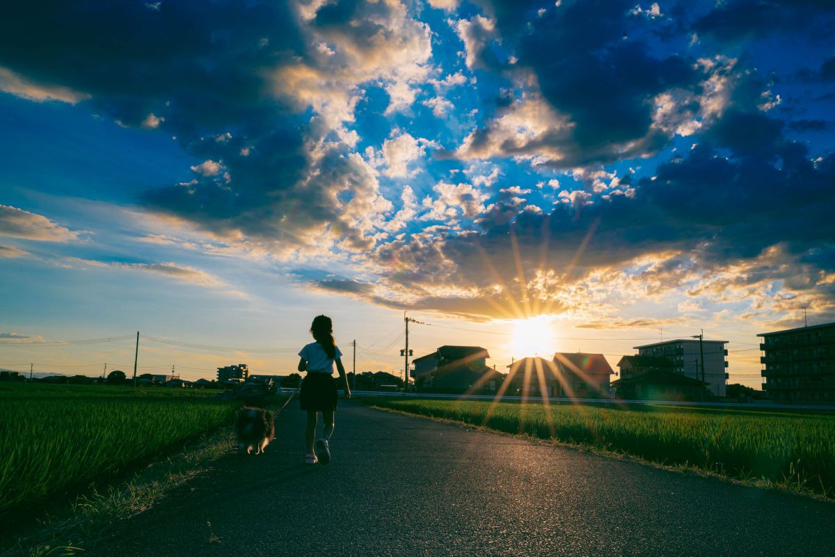 Blue twilight | GANREF