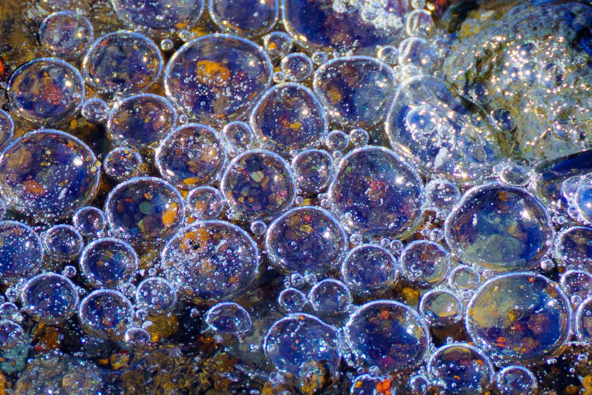 湖畔の氷 | GANREF