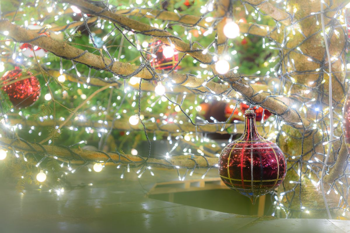 ニコンD850レビュー （21）使っていて気持ち良い24-70mmF2.8 VR | GANREF