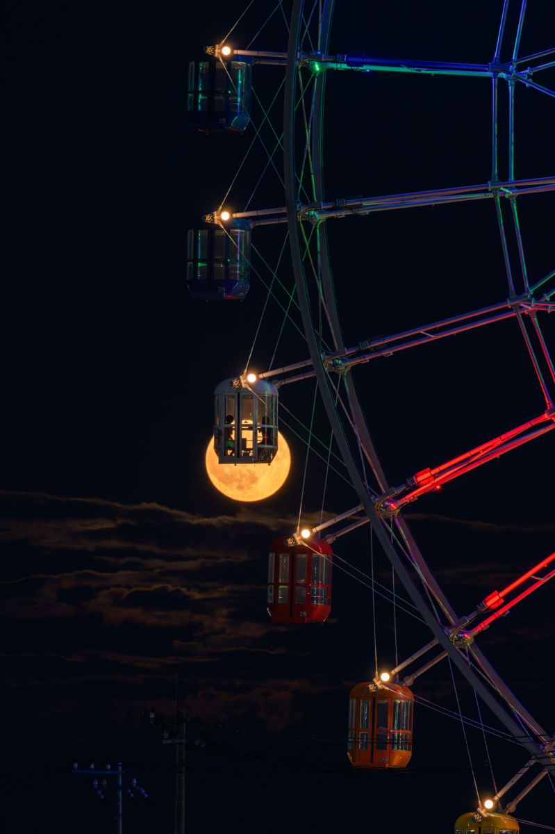 月が奇麗ですね | GANREF