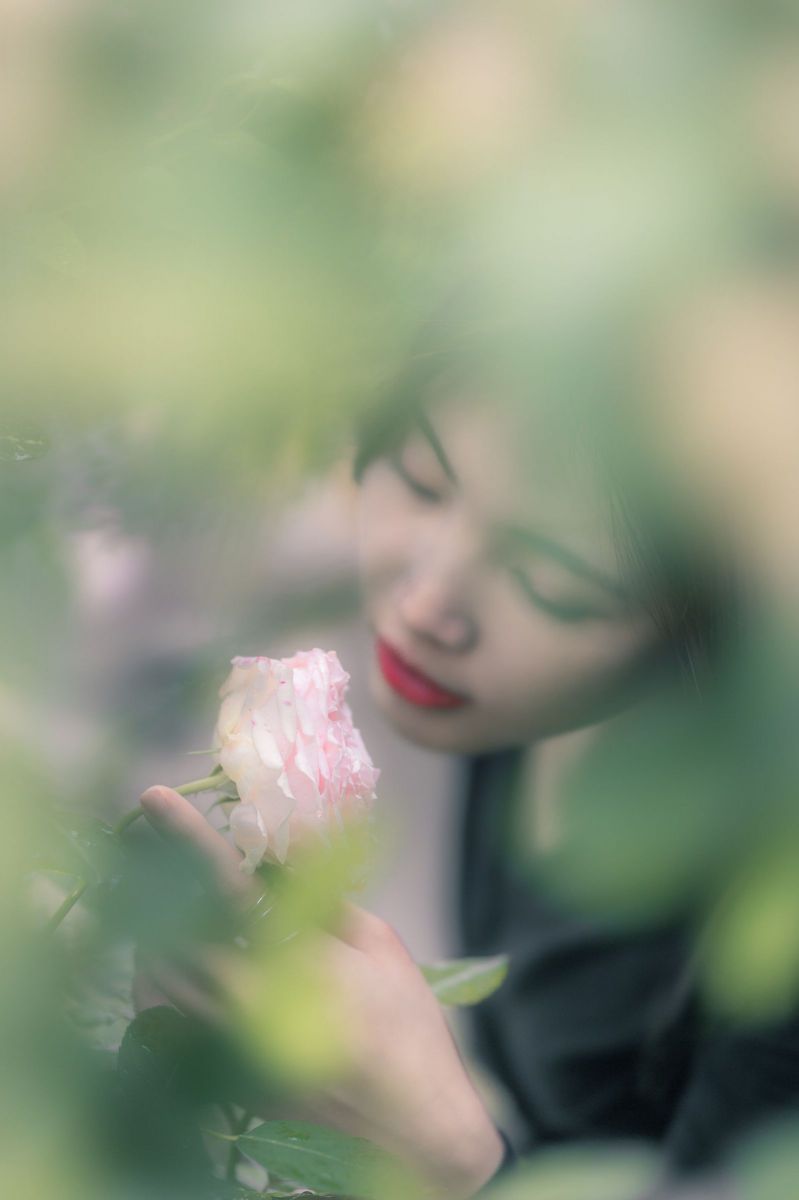 バラの咲く季節に | GANREF