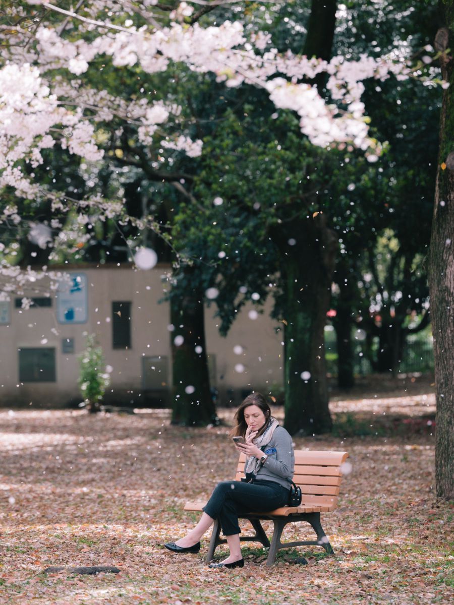 桜吹雪の中で | GANREF