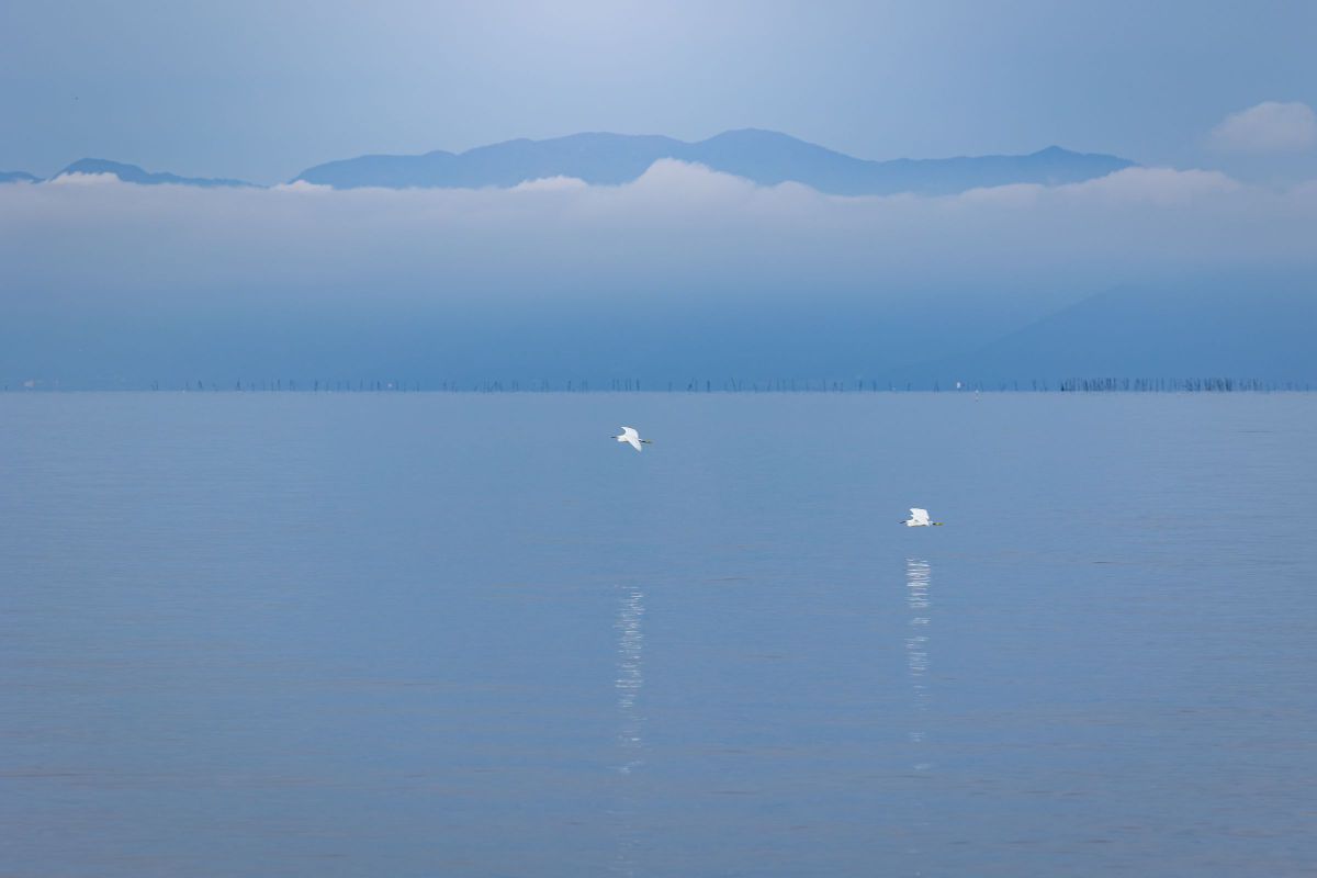 Another World | GANREF