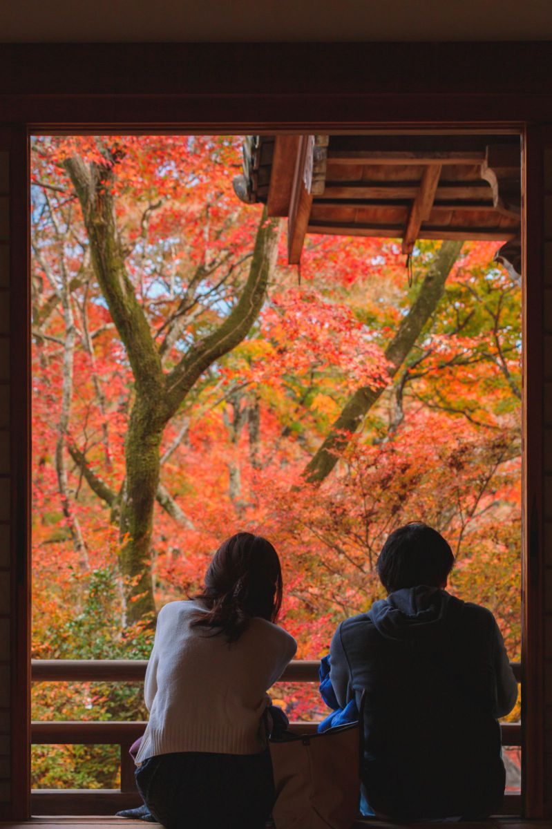 二人だけの秋 | GANREF