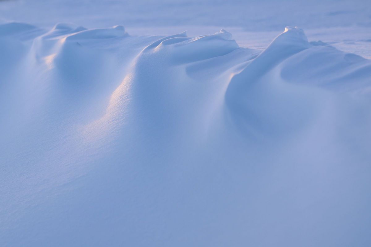 光を抱く | GANREF