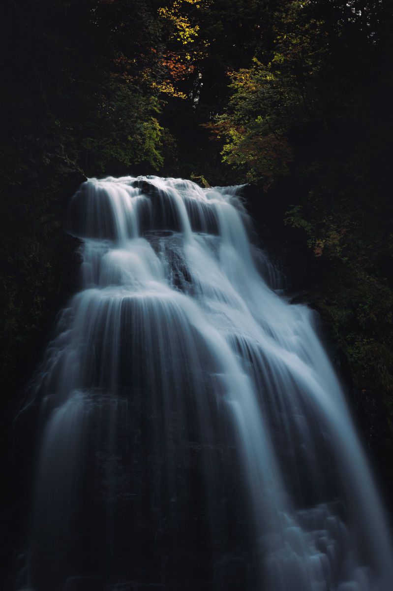 森厳の錦 | GANREF