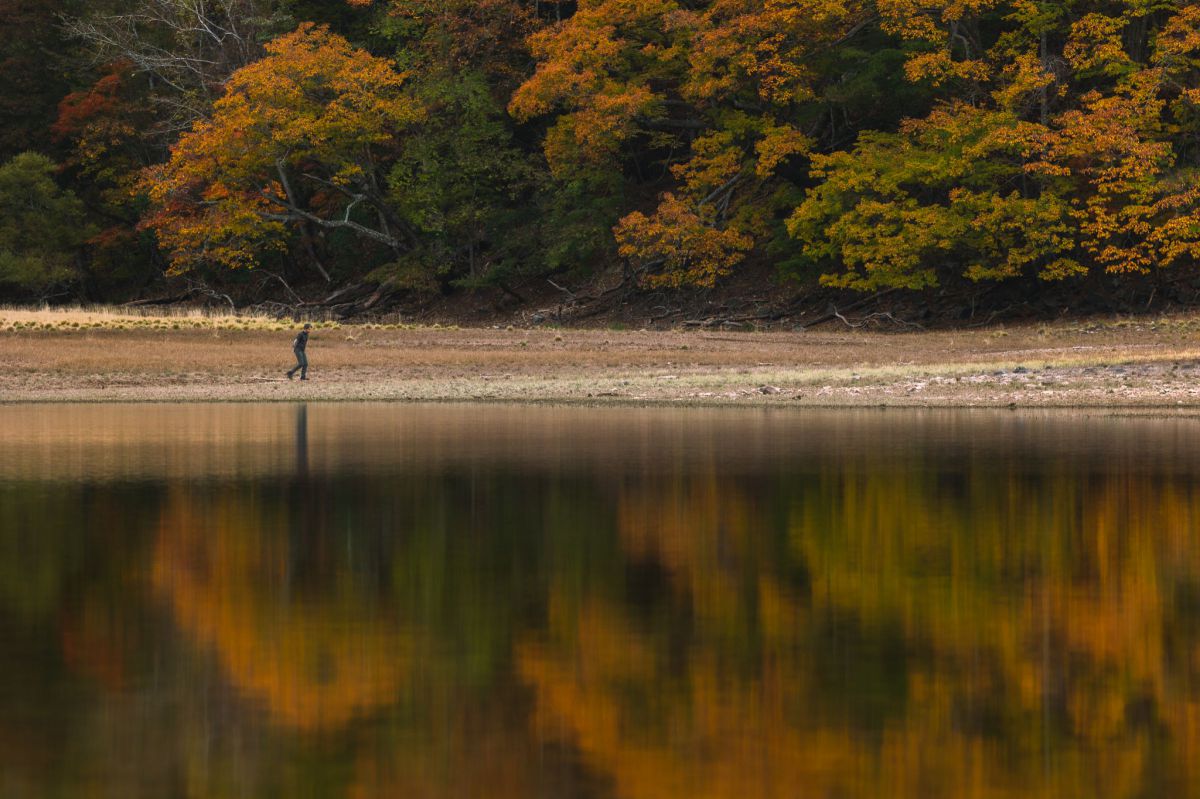 秋を往く | GANREF