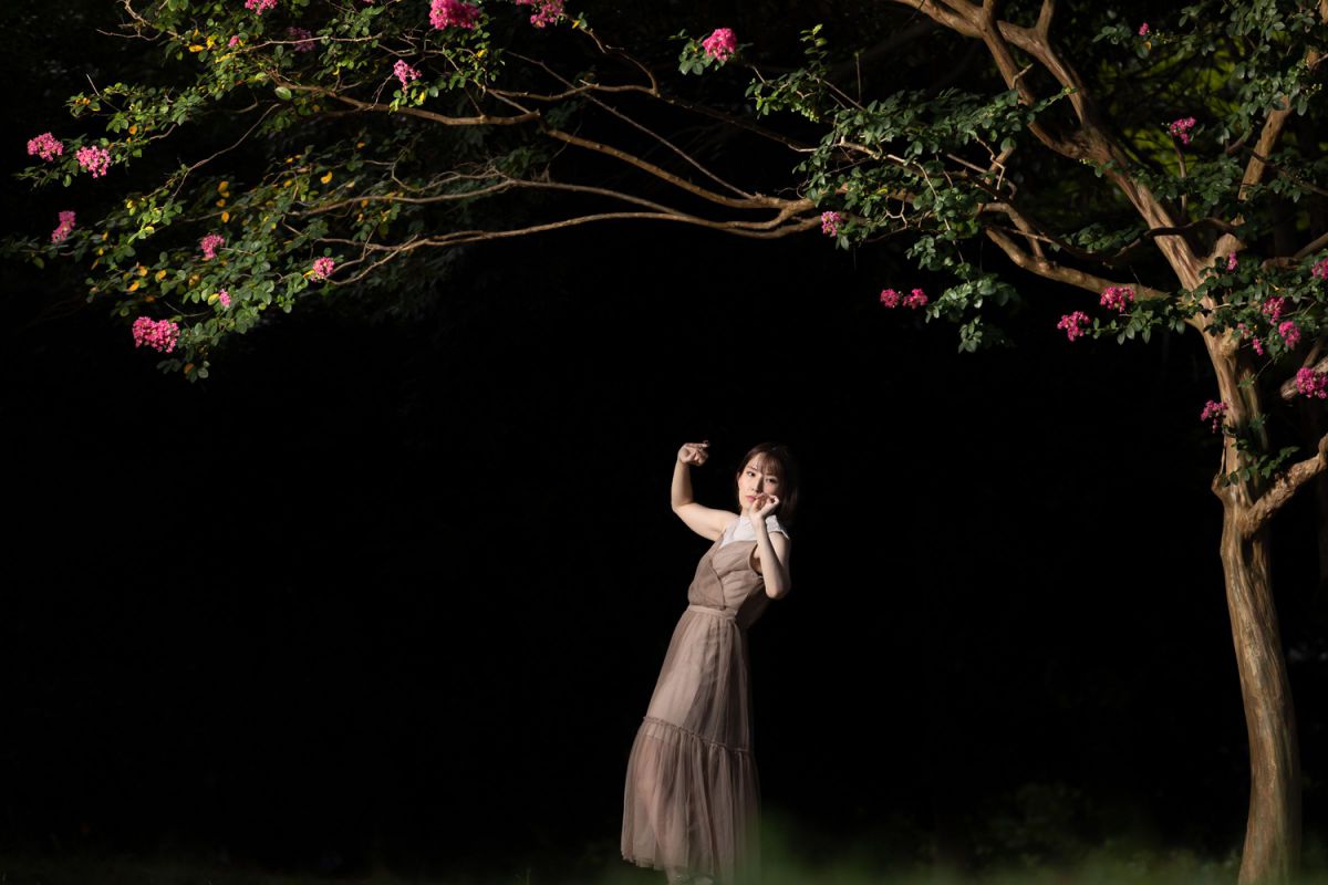 Night Dance | GANREF